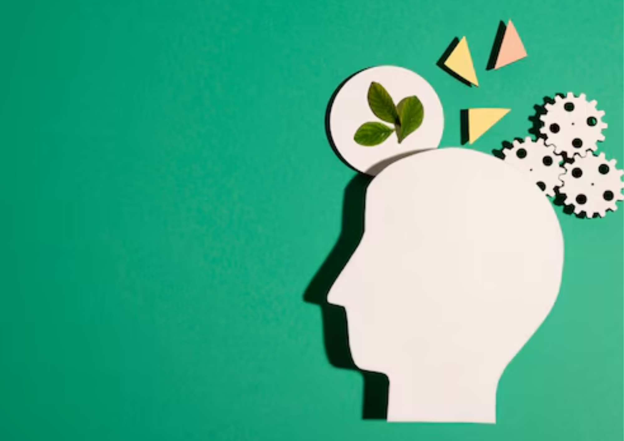 The Power of Student Motivation: Fueling Success